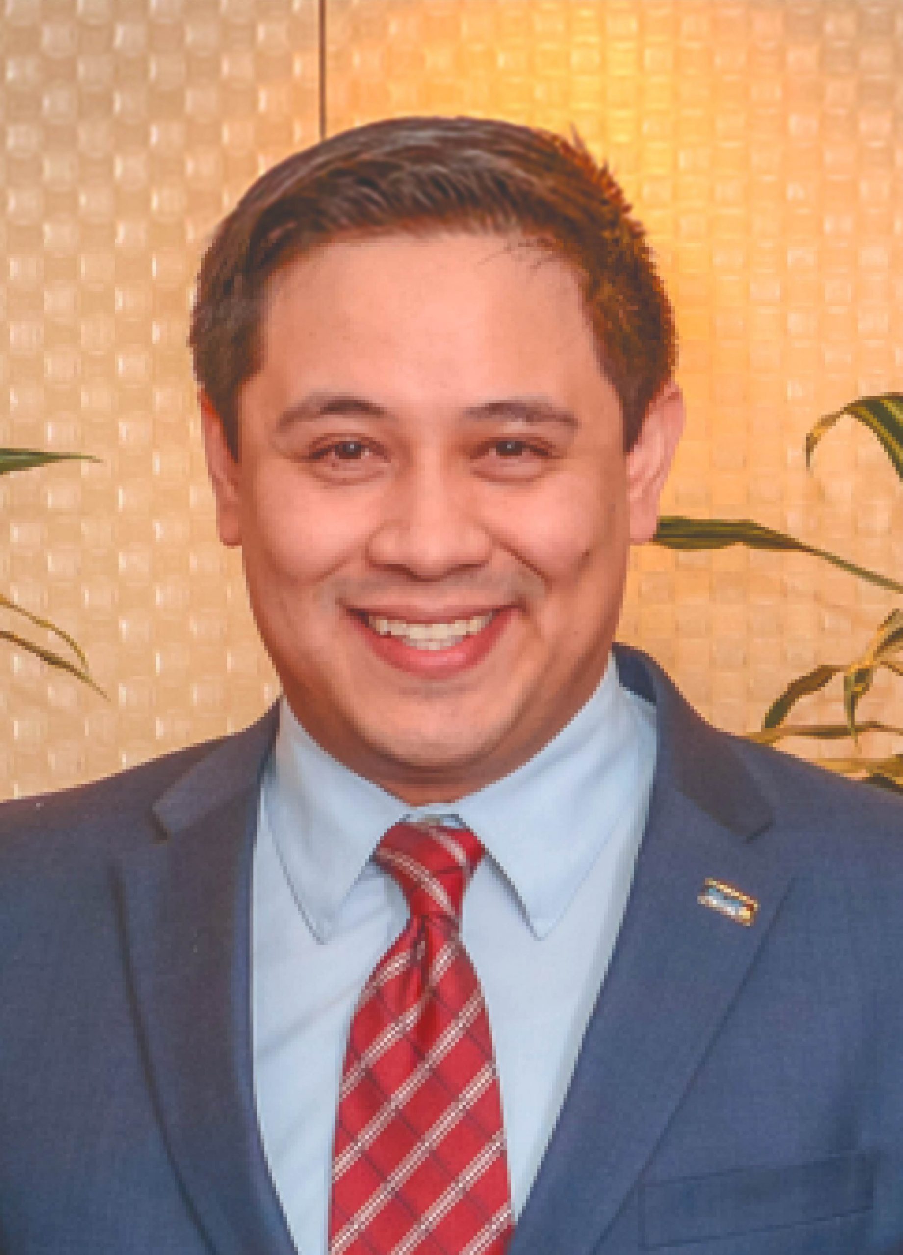 Estructura organizativa - Bioga